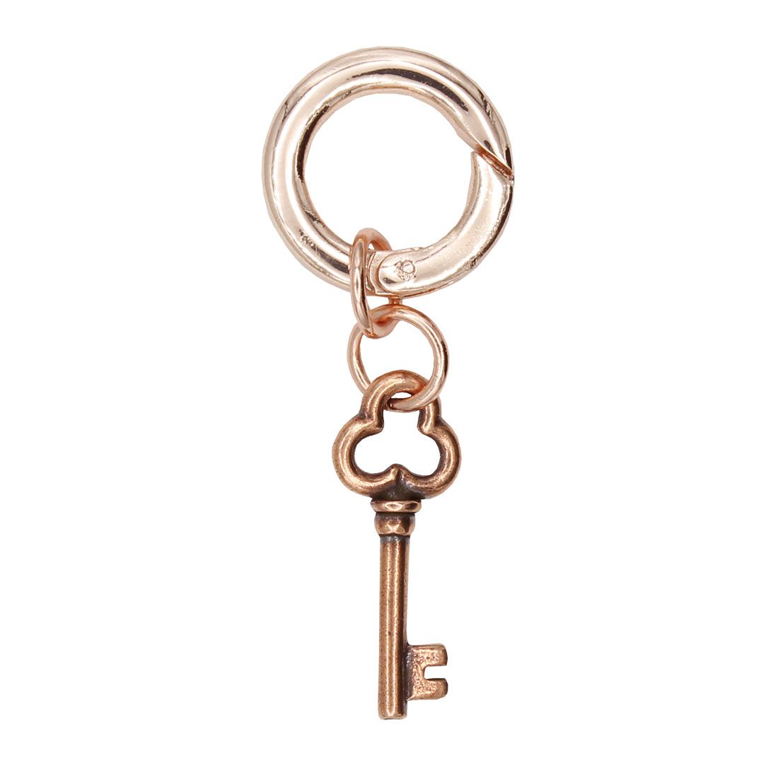 Skeleton Key Charm in Rose Gold – Lofttan